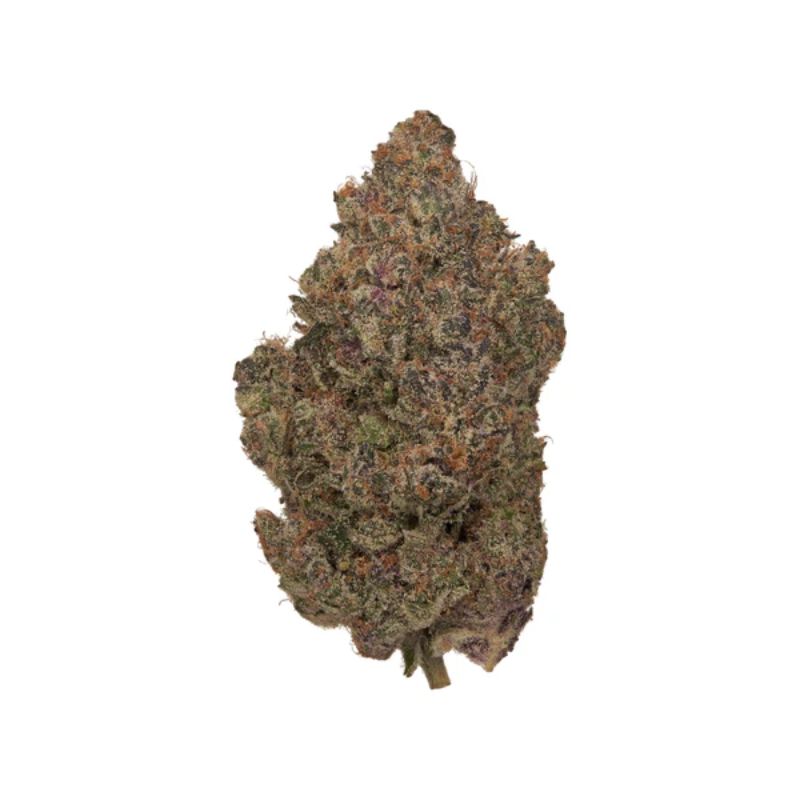 Buy Orange Creamsicle | Shop THCA Flower Strains | Black Tie